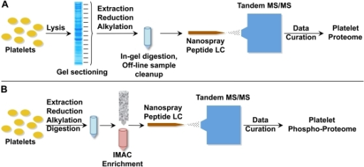 Schematic Workflow Of Lc Ms Ms Based Platelet Proteomic Open I