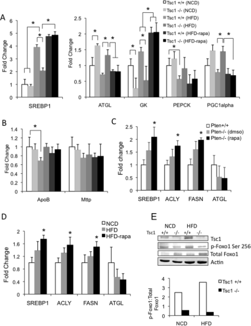 Hepatic Mrna Expression Of Metabolic Genes Relative Exp Open I