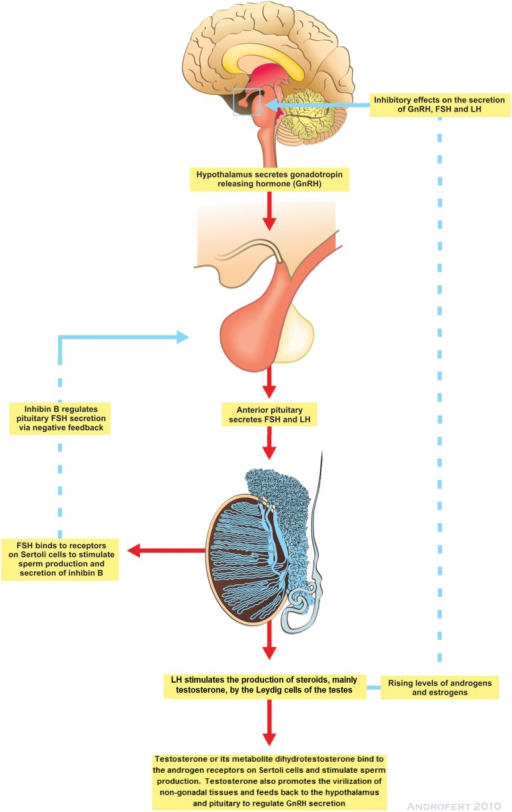 A Schematic Representation Of The Components Of The Hyp Open I