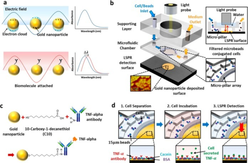 A Principle Of Nanoplasmoic Biosensing Based On Lspr Open I