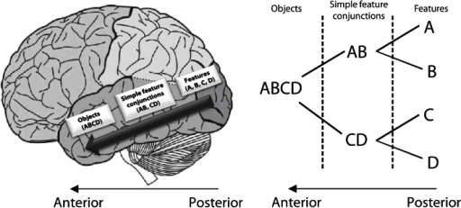 Representational Hierarchical Theory A Lateral View Of Open I