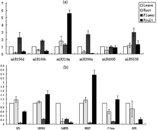 The Relative Expression Level Of Selected Six Mirnas A Open I